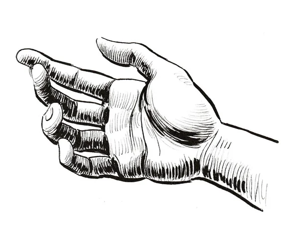 Hand Black And White Drawing