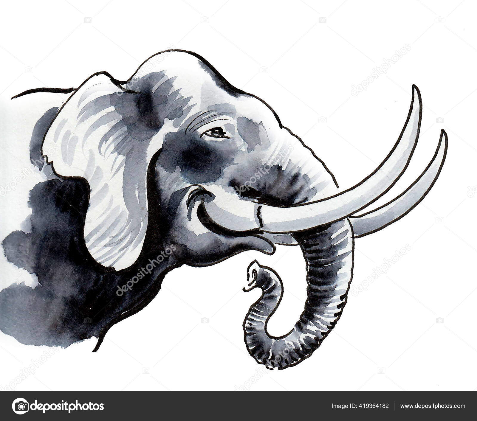Watercolor Elephant Head