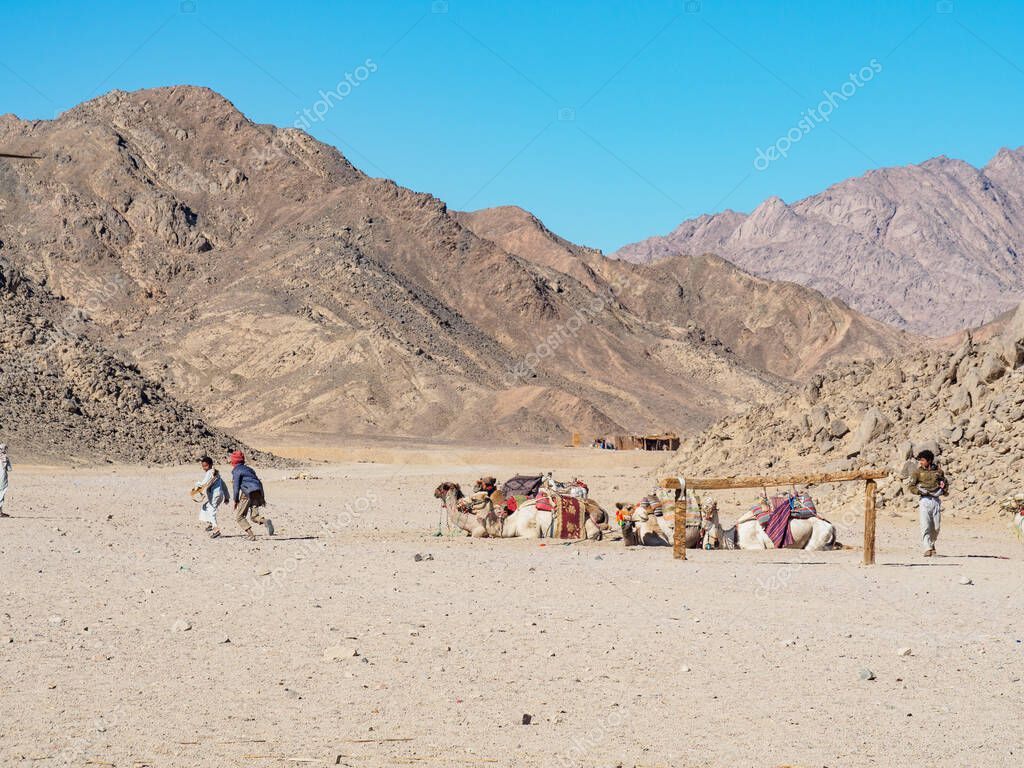 Pueblo beduino en el desierto, Egipto - Febrero 2020: paisaje de ...