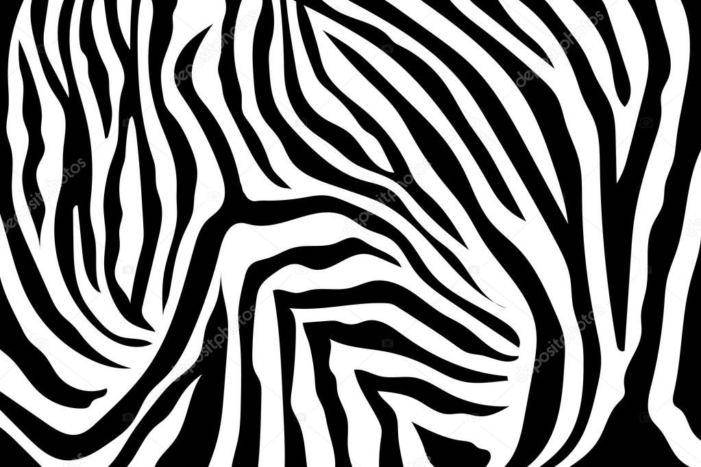 Patrón de rayas de cebra. Estampado de cebra, piel de animal, rayas de ...