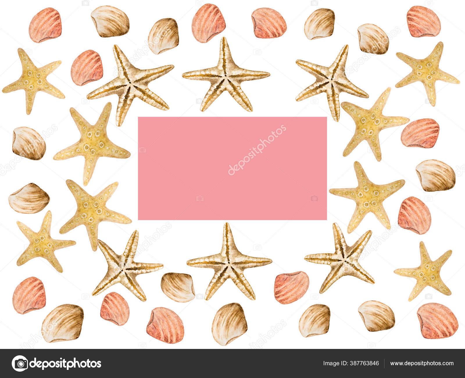Drawing Starfish Shells Beautiful Card Close View Stock Illustration by ...