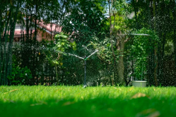 Sprinklers garden Stock Photos, Royalty Free Sprinklers garden Images ...