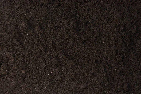 Dark Soil Texture