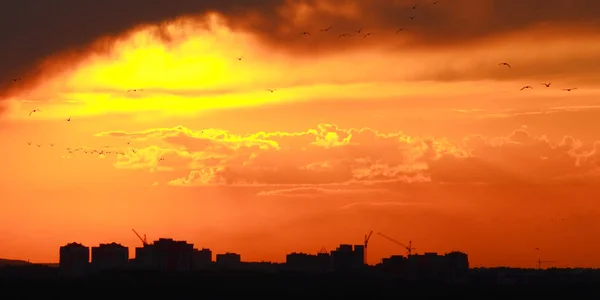 Apocalyptic, scary sky with clouds at sunset and birds flying away into ...