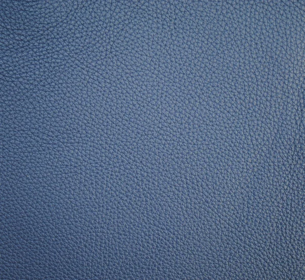 Blue leather Stock Photos, Royalty Free Blue leather Images | Depositphotos