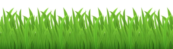 24,419,525 Cute grass Vector Images | Depositphotos