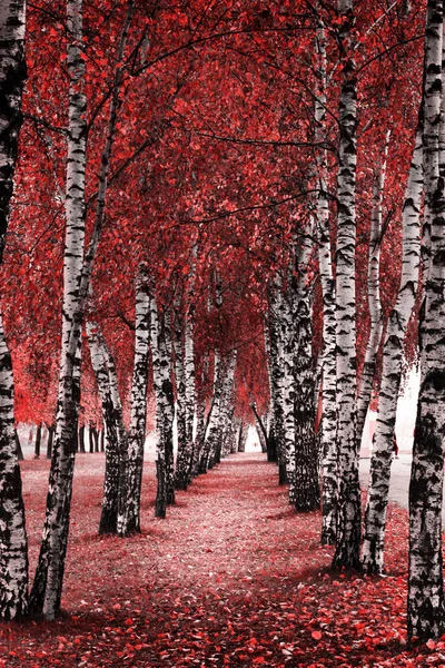Red scenery Stock Photos, Royalty Free Red scenery Images | Depositphotos