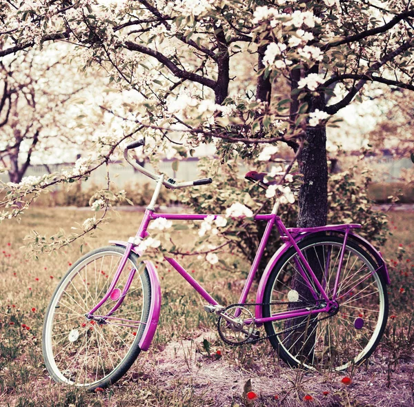 Spring bike Stock Photos, Royalty Free Spring bike Images | Depositphotos
