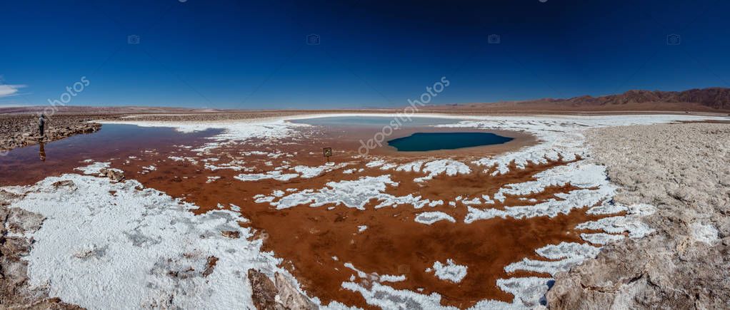 Baltinache Lagunas ocultas lagos de sal en el desierto de Atacama ...