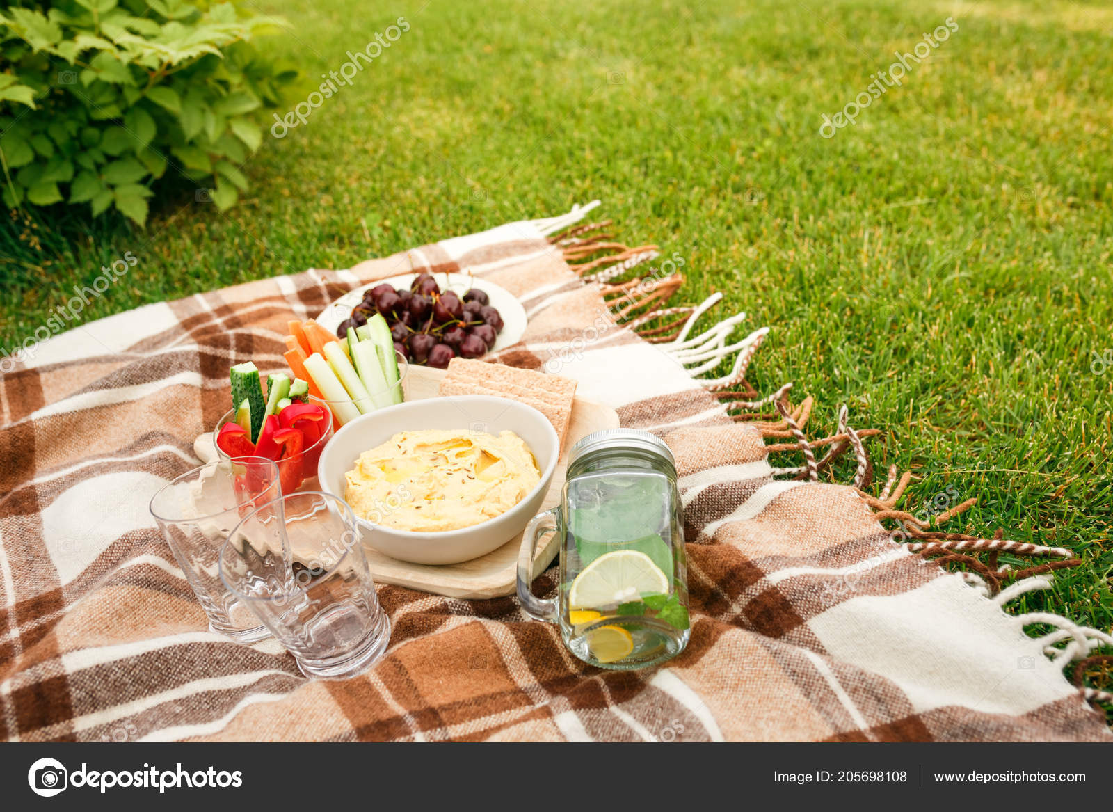 Picnic Grass Park Checkered Brown Plaid Snacks Vegetables Fruits Water ...