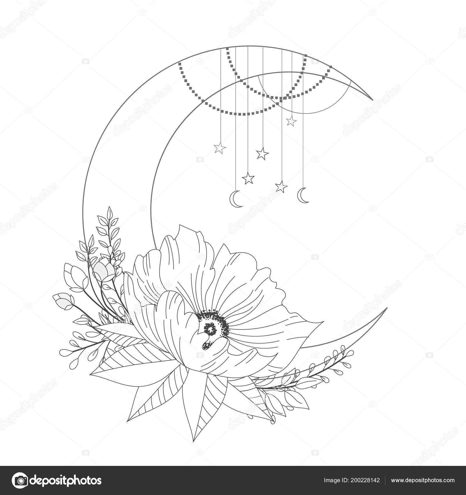 Moon Flower Drawing