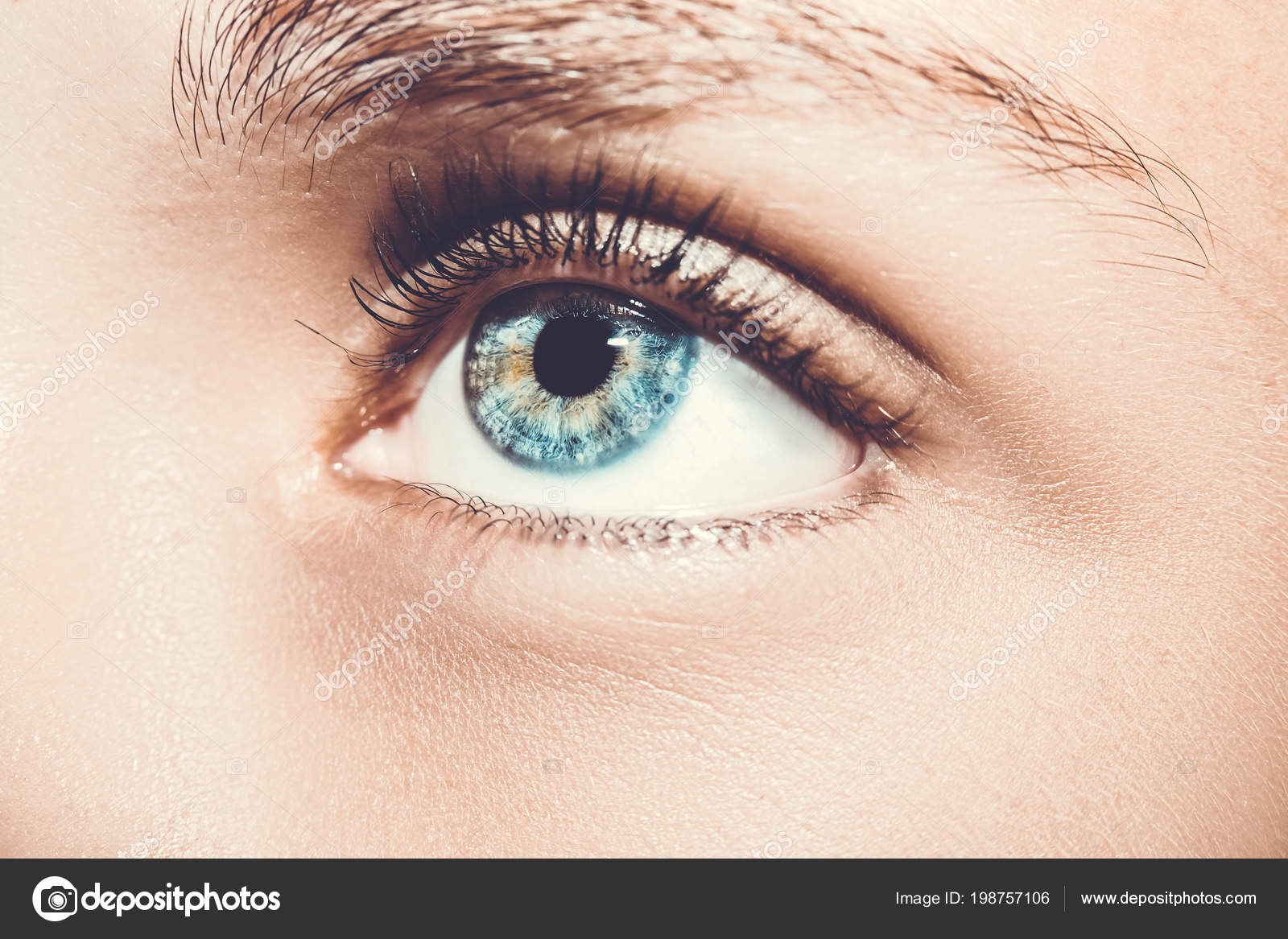 A beautiful insightful look eye. Close up shot. — Stock Photo © Viculia ...
