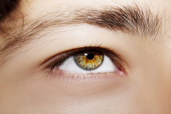 Golden Eyes Human
