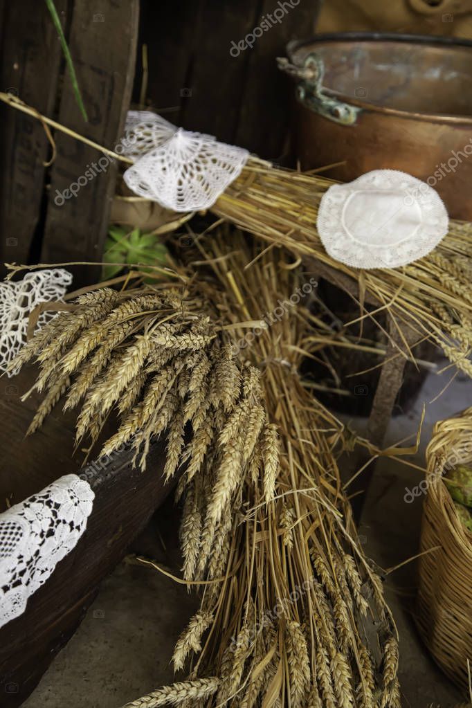 Trigo seco en rama recién cosechada, detalle de cereal, alimentos ...