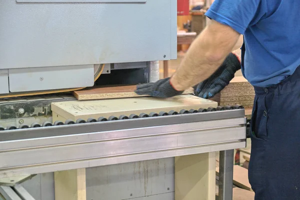 Laying Chipboard Processing Production Furniture Woodworking Enterprise ...