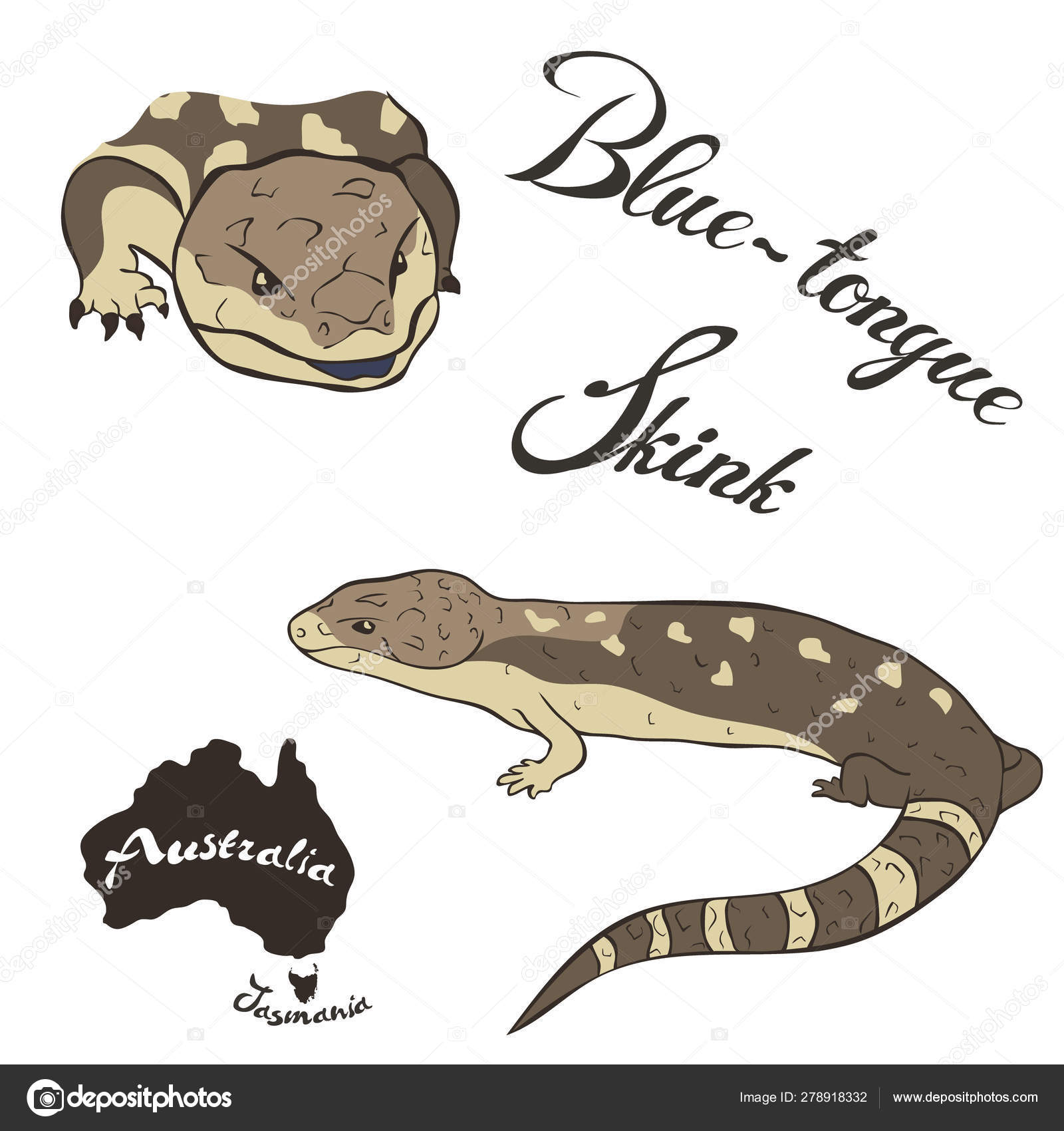 Blue Tongue Lizard Cartoon Clipart