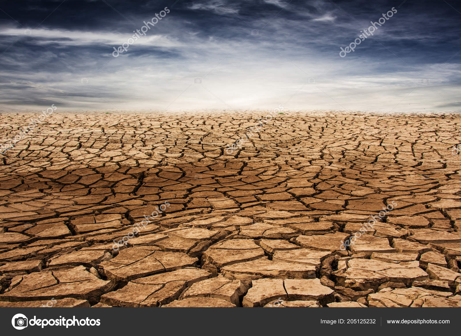 Cracked Desert Landscape