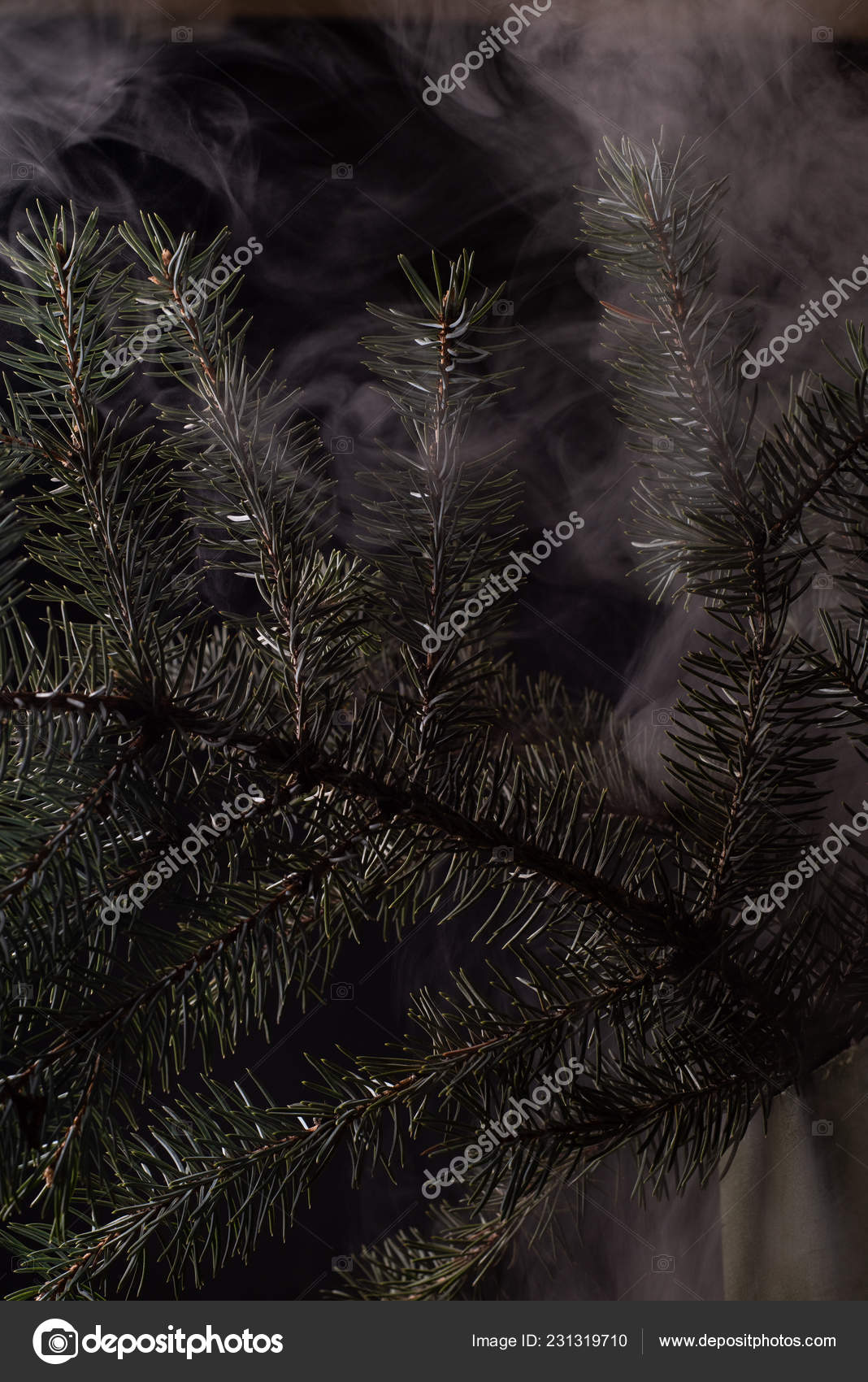 Spiny Branches Pine Tree Smoke Flow — Stock Photo © ArtKvitka #231319710