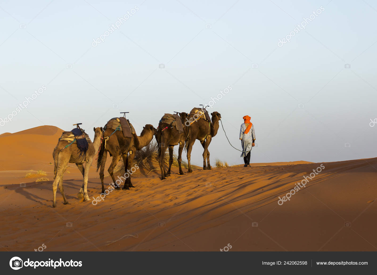 Karavanu Velbloudů Dezert Sahara Krásnou Duny Pozadí Maroko — Stock ...
