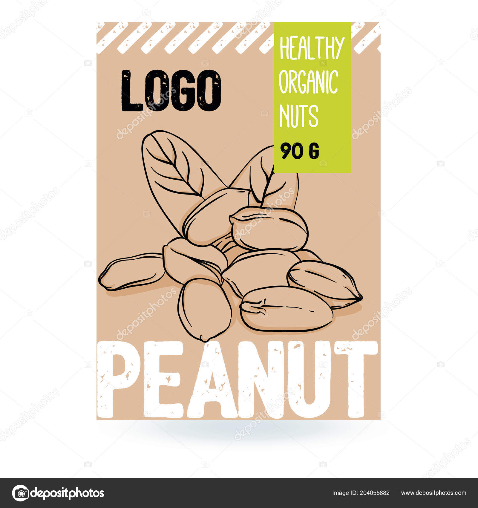 Beautiful Vector Hand Drawn Peanut Organic Nut Template Elements ...