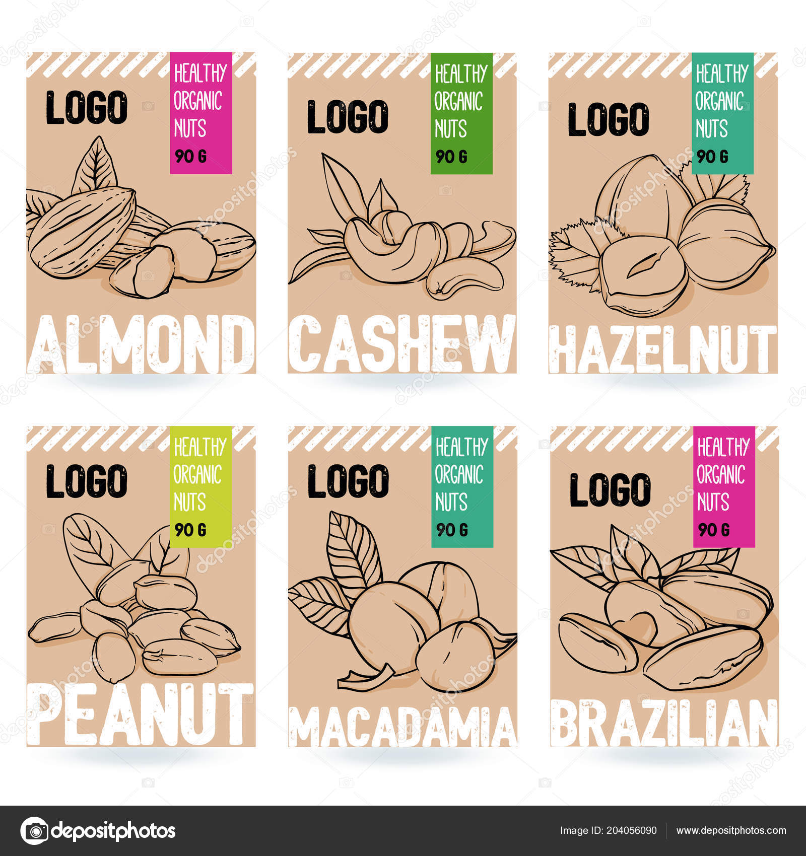 Beautiful Vector Hand Drawn Walnut Organic Nut Template Elements ...