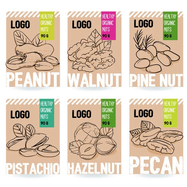 Beautiful Vector Hand Drawn Walnut Organic Nut Template Elements ...