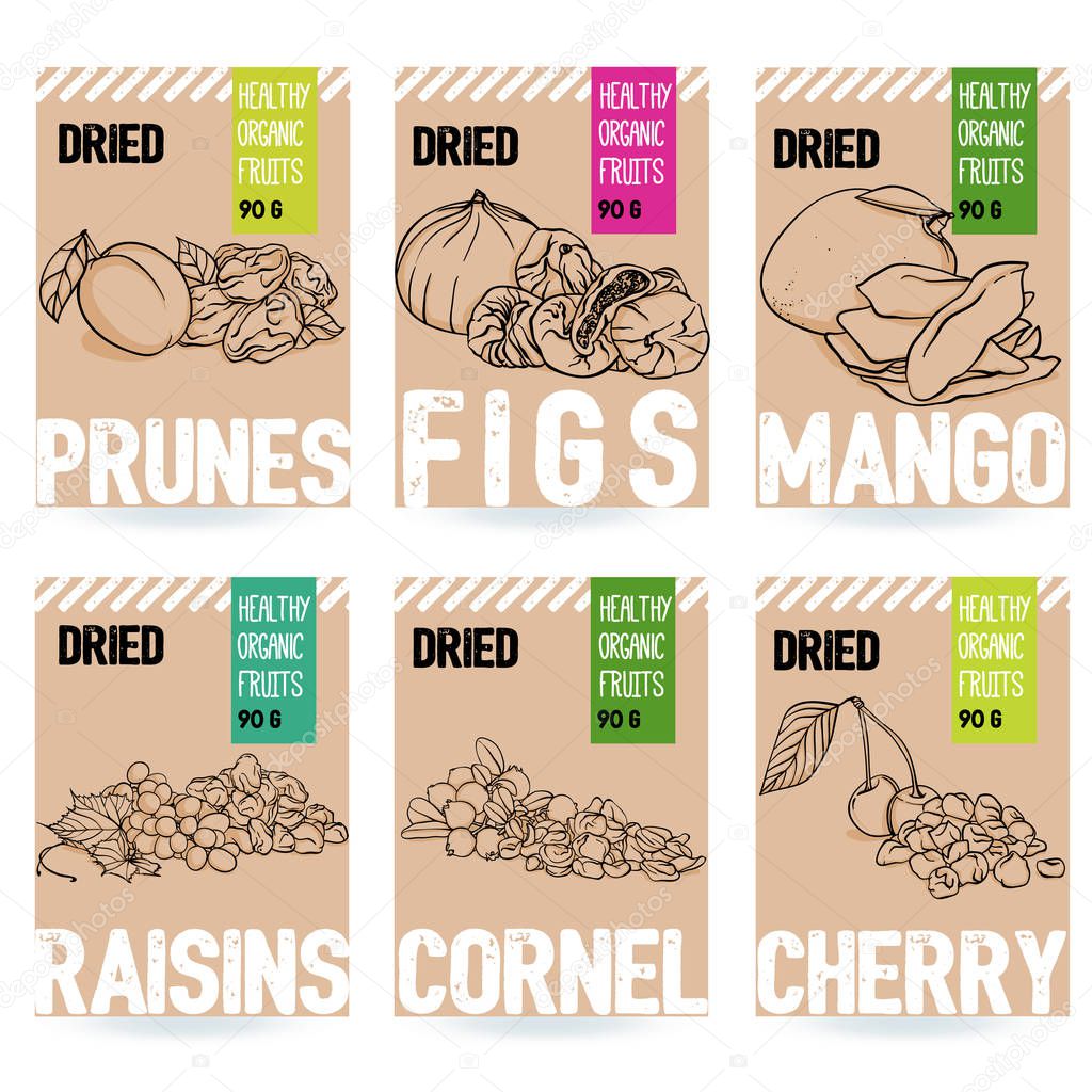 Hermoso juego de tarjetas de fruta orgánica dibujada a mano vector. Ciruela, higo, mango, uvas ...