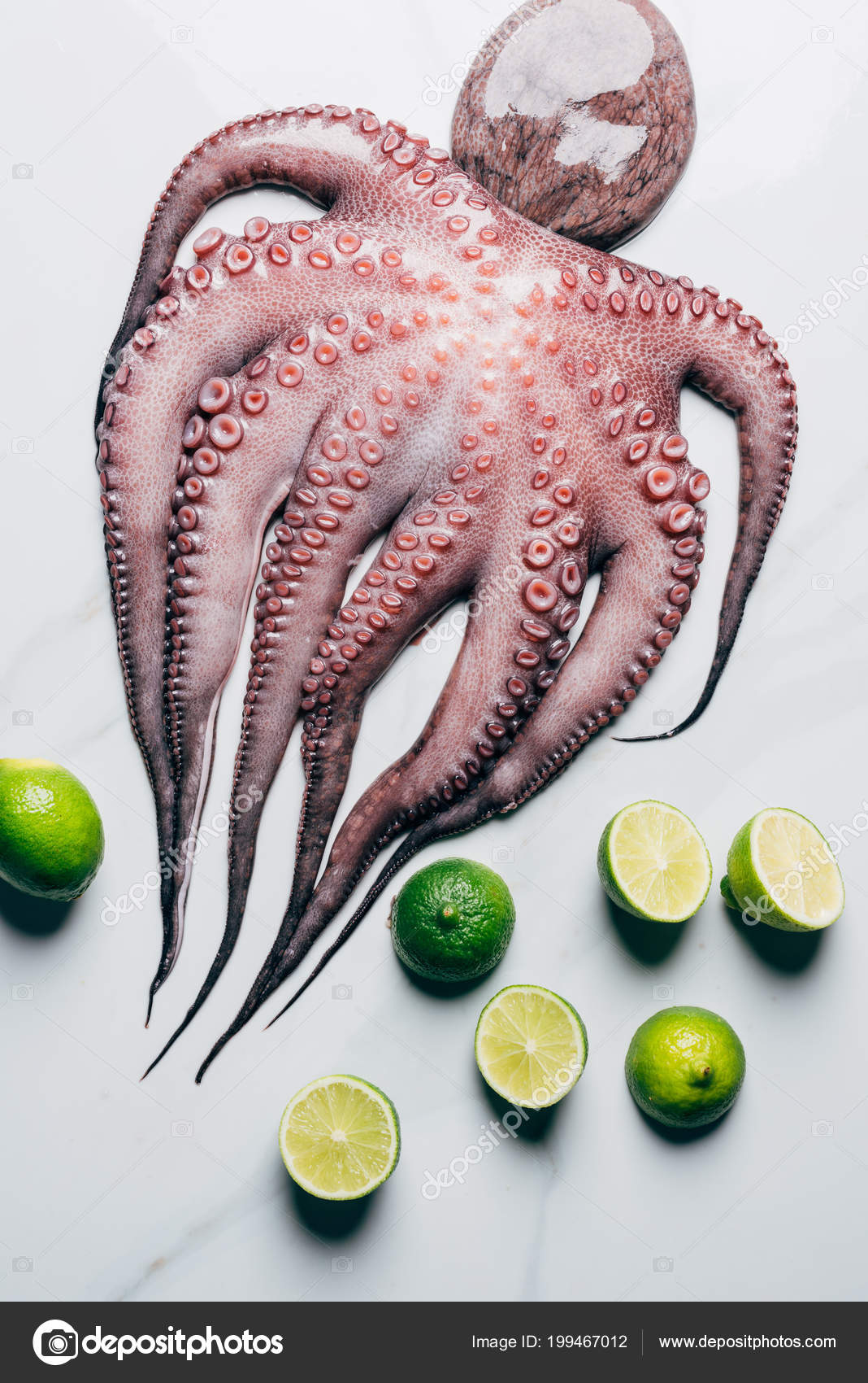 Top View Raw Octopus Limes Light Marble Surface — Stock Photo ...