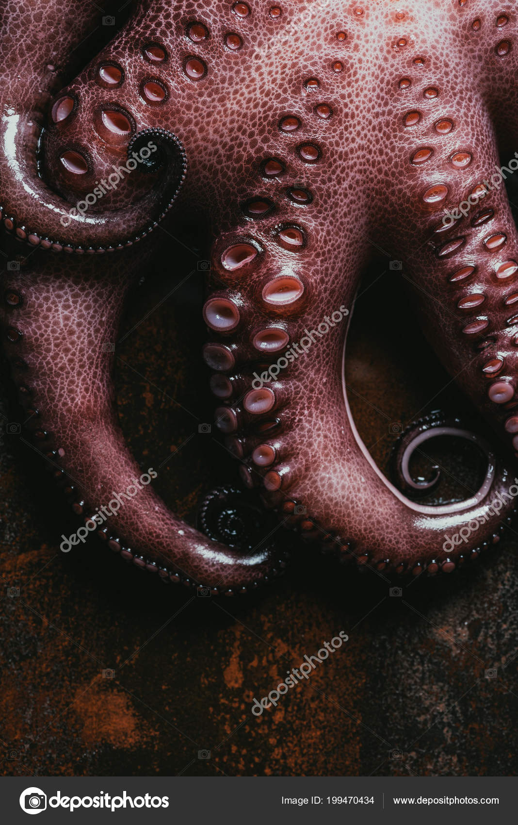 Top View Big Raw Octopus Rusty Metal Surface Stock Photo by ...