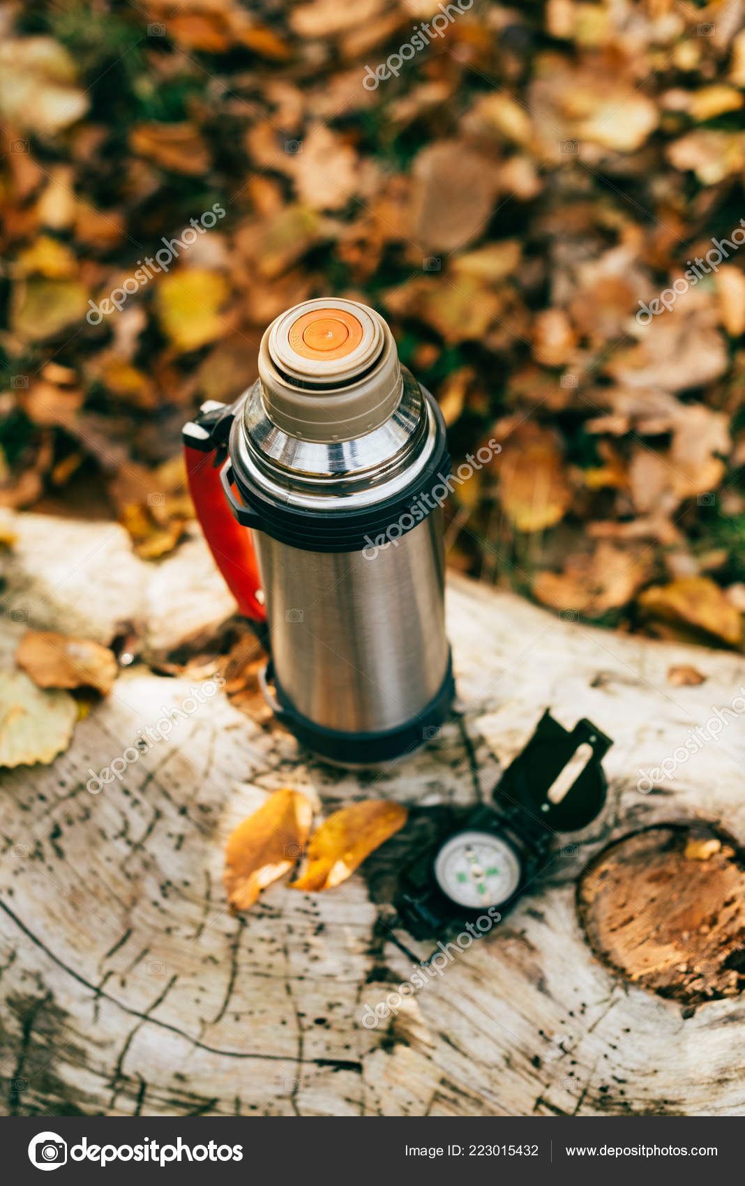 Top View Metallic Camping Thermos Beautiful Autumnal Background — Free ...