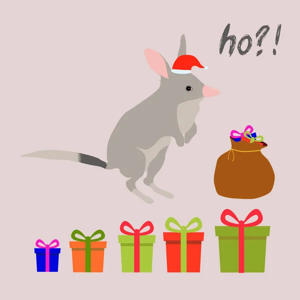 Standing Bilby Rabbit Bandicoot Color Vector Illustration Stock Vector ...