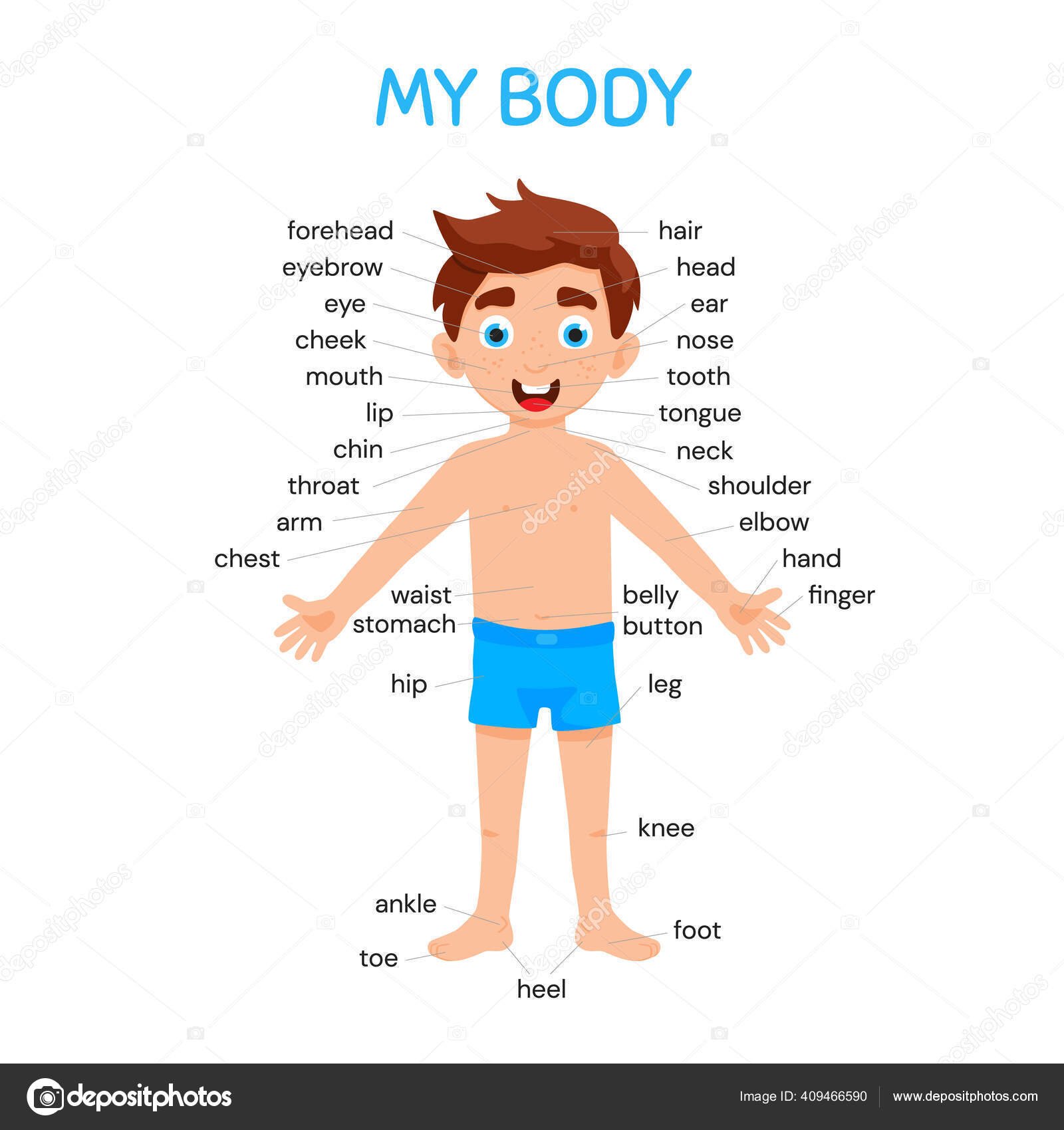 Human Body Parts Poster For Kids