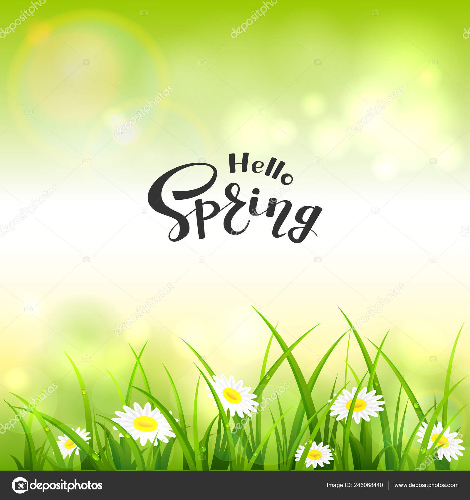 Spring Summer Nature Flowers Grass Drops Lettering Hello Spring Green ...