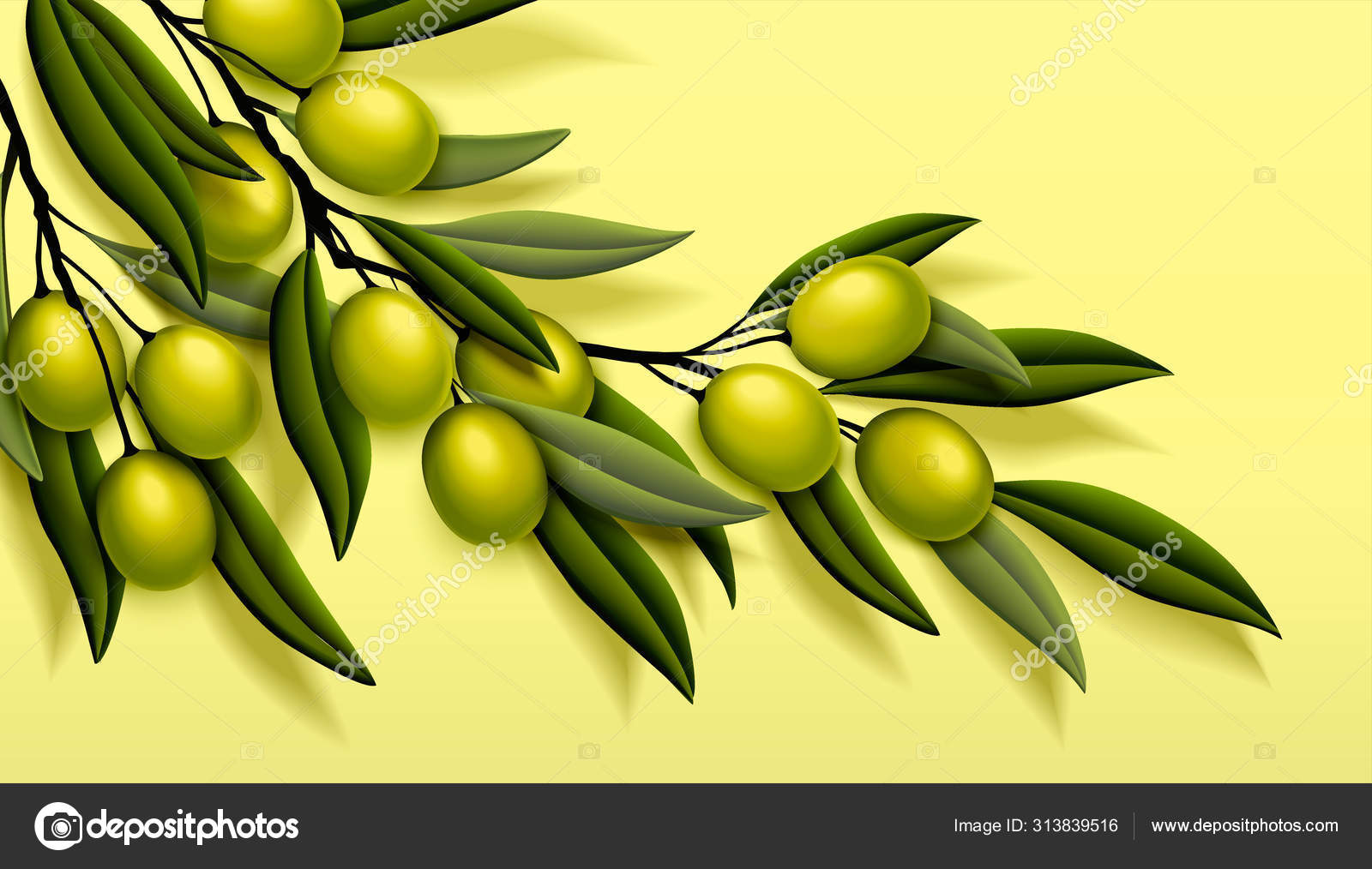 Olive branch illustration Stock Vector by ©kchungtw 313839516