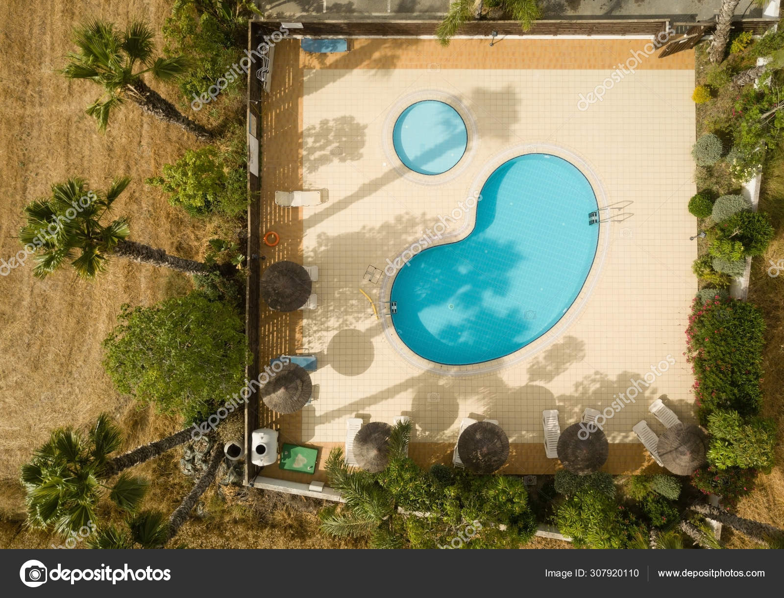 Pool Birds Eye View
