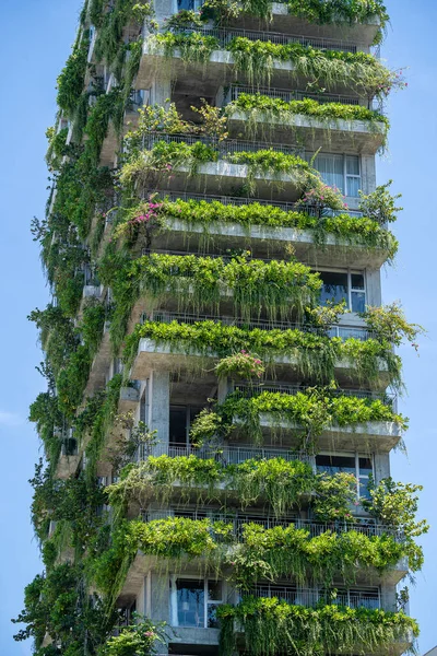 Ecological buildings facade with green plants and flowers on the high ...