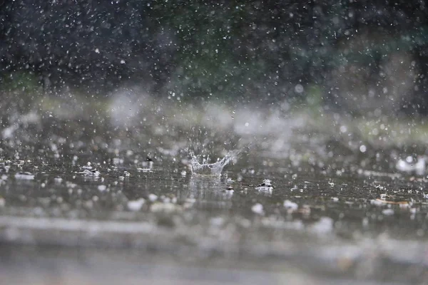 Rain splash Stock Photos, Royalty Free Rain splash Images | Depositphotos