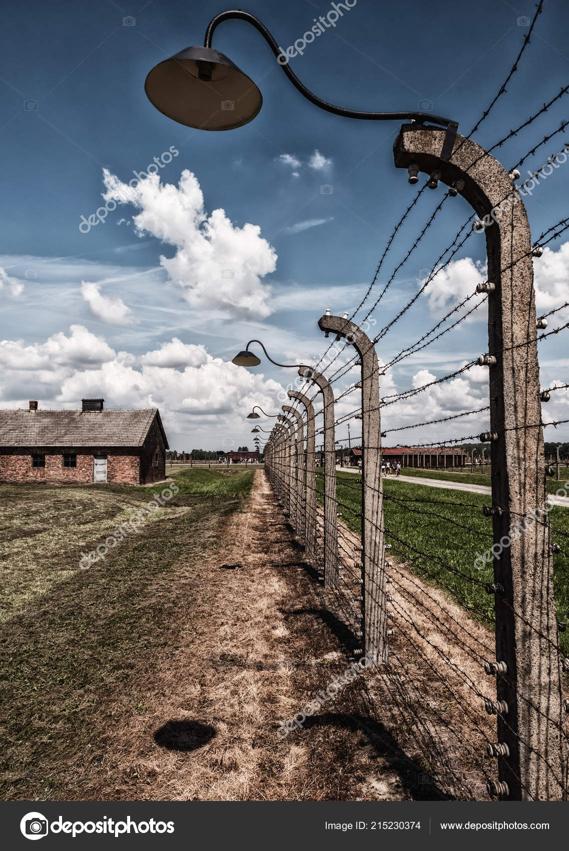 Barbed Wire Fence Concentration Camp