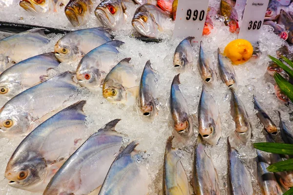 Fresh fish with ice in seafood department in supermarket store. - Stock ...