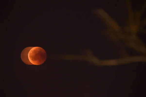 Central lunar eclipse Stock Photos, Royalty Free Central lunar eclipse Images | Depositphotos