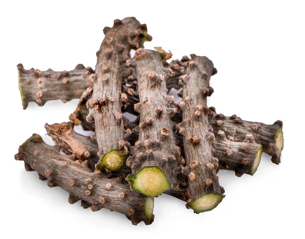 Tinospora Cordifolia Leaf Isolated White Background Stock Photo by ...