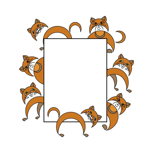 Cat Borders And Frames