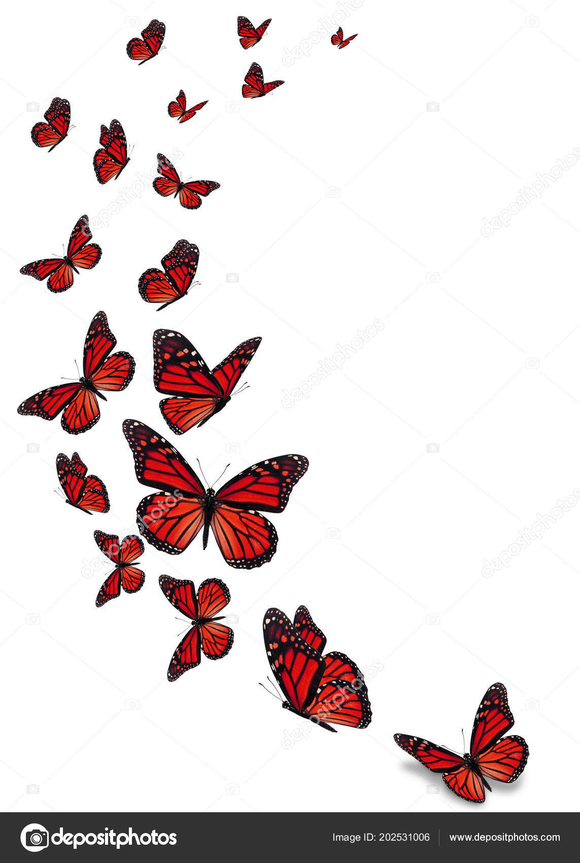Beautiful Red Butterfly Pictures
