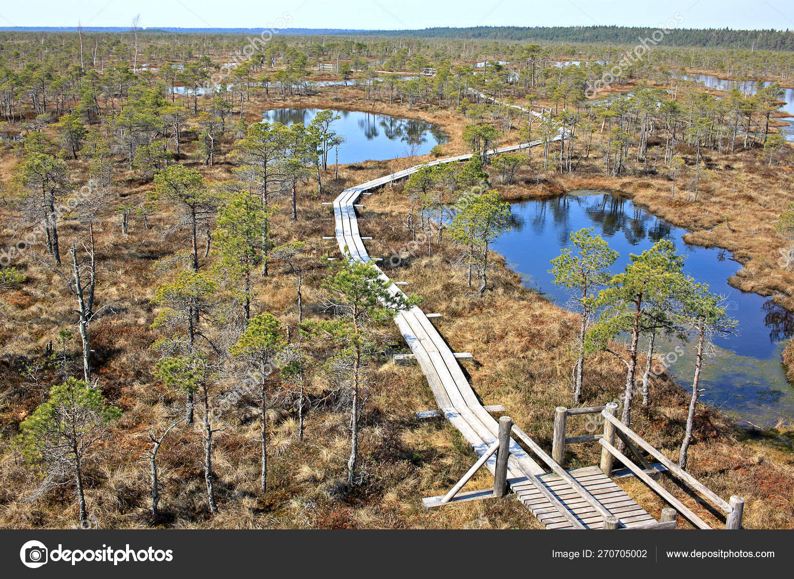 Great Kemeri Bog in Kemeri National Park in Latvia Stock Photo by ...