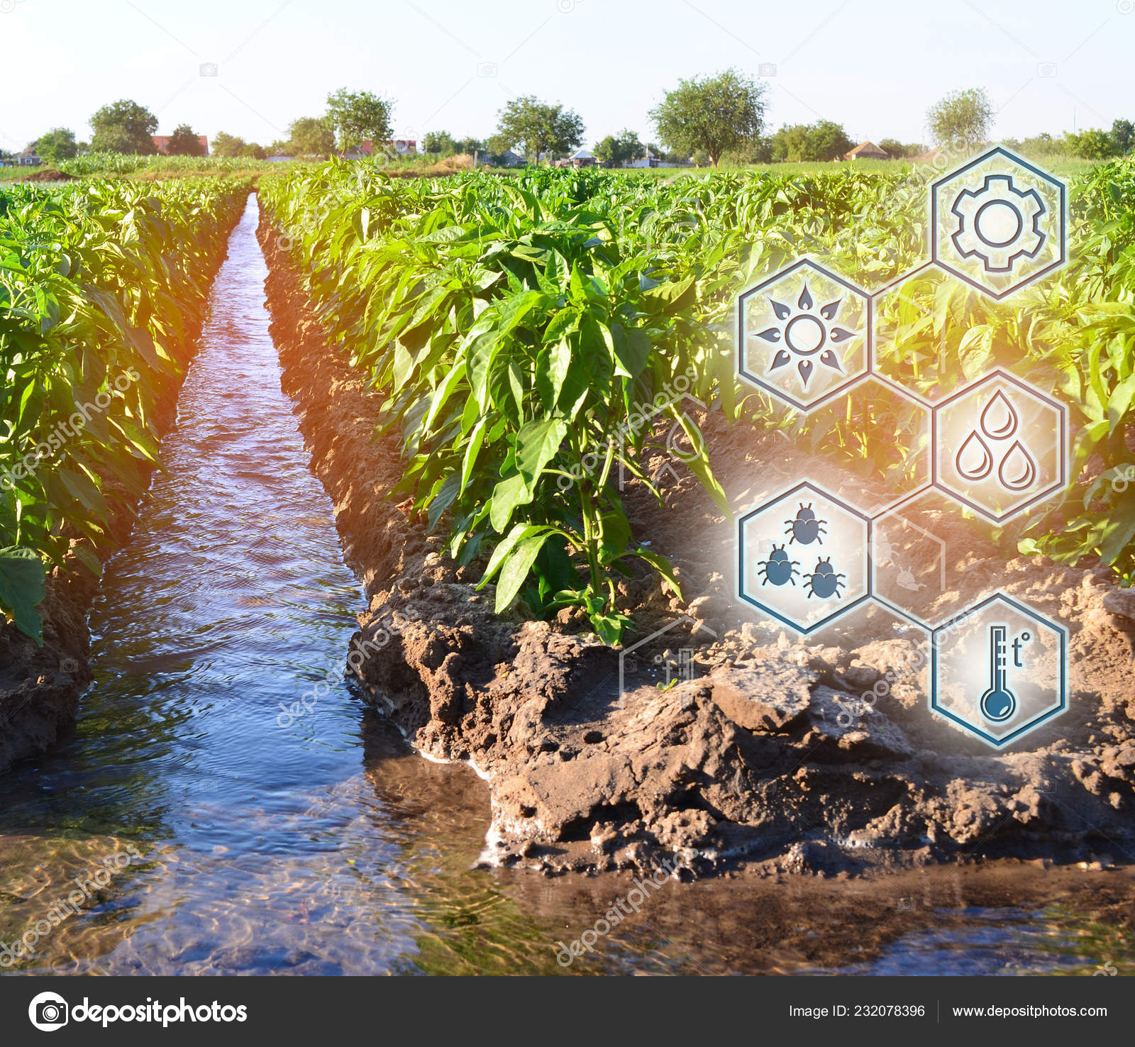 Natural Watering Agriculture High Technologies Innovations Agro ...