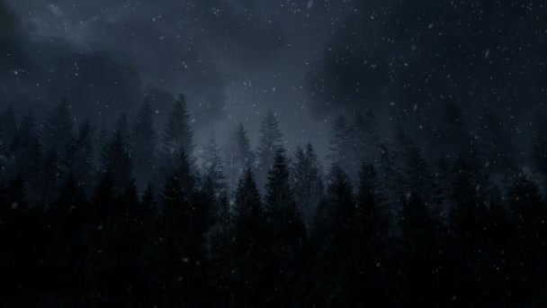 Dark Winter Night Background Loop Animation — Stock Video © Sunshine27 ...