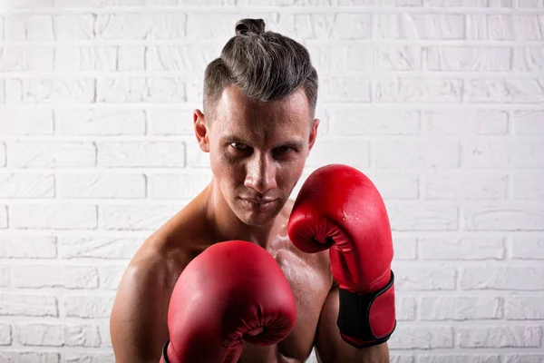 Portrait of handsome boxer man standing on the bric wall and looking at ...