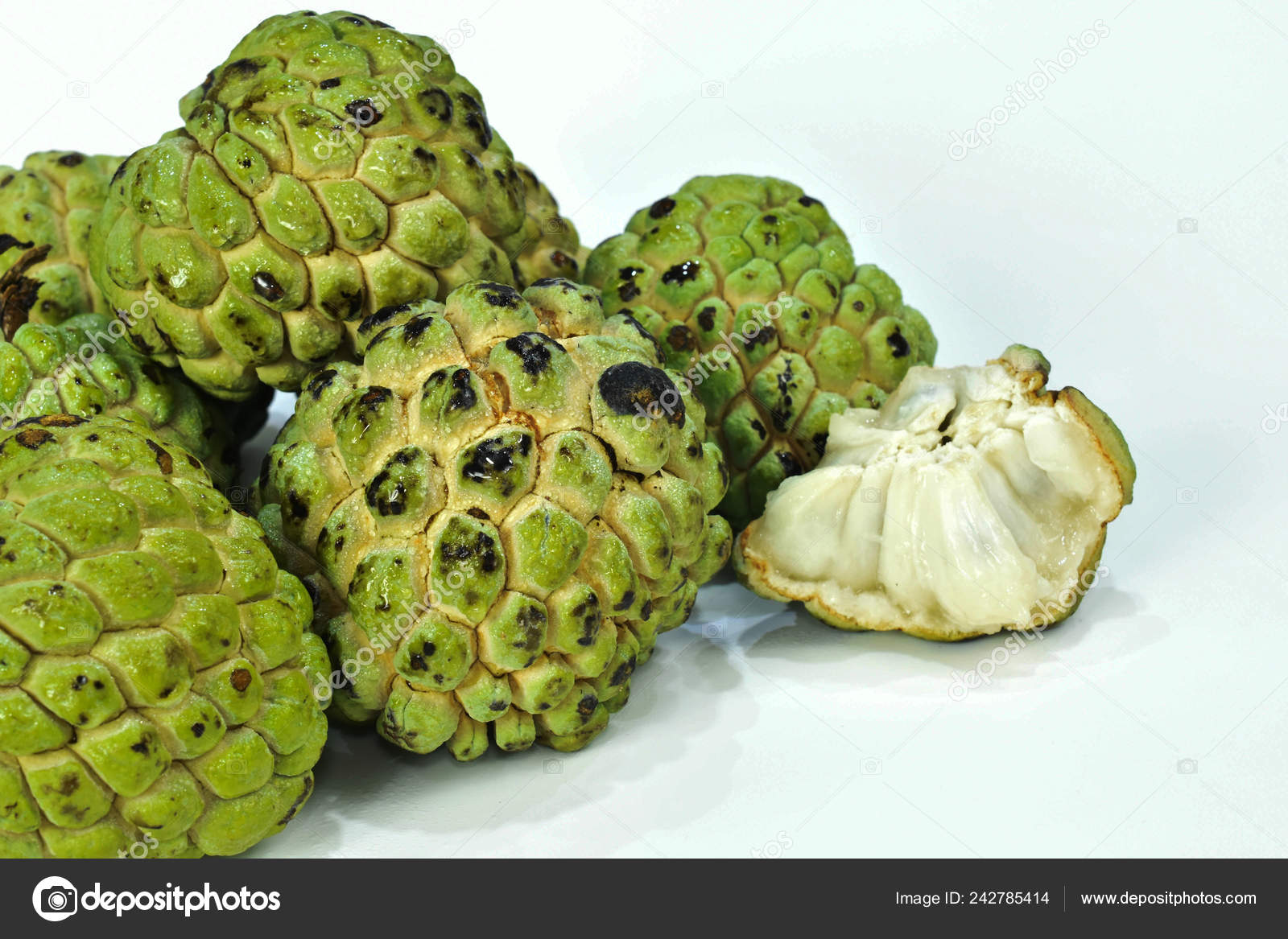 Exotic Brazilian Fruit Known Fruta Conde Fruta Pinha Scientific Name ...