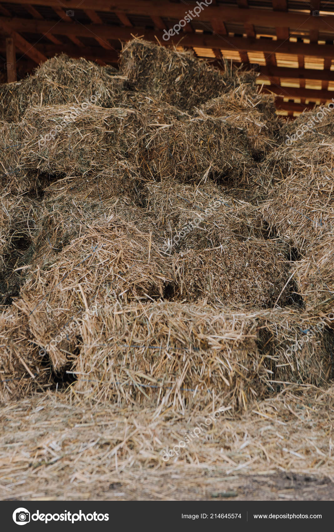 Close View Barn Stacked Hay Farm — Stock Photo © MicEnin #214645574