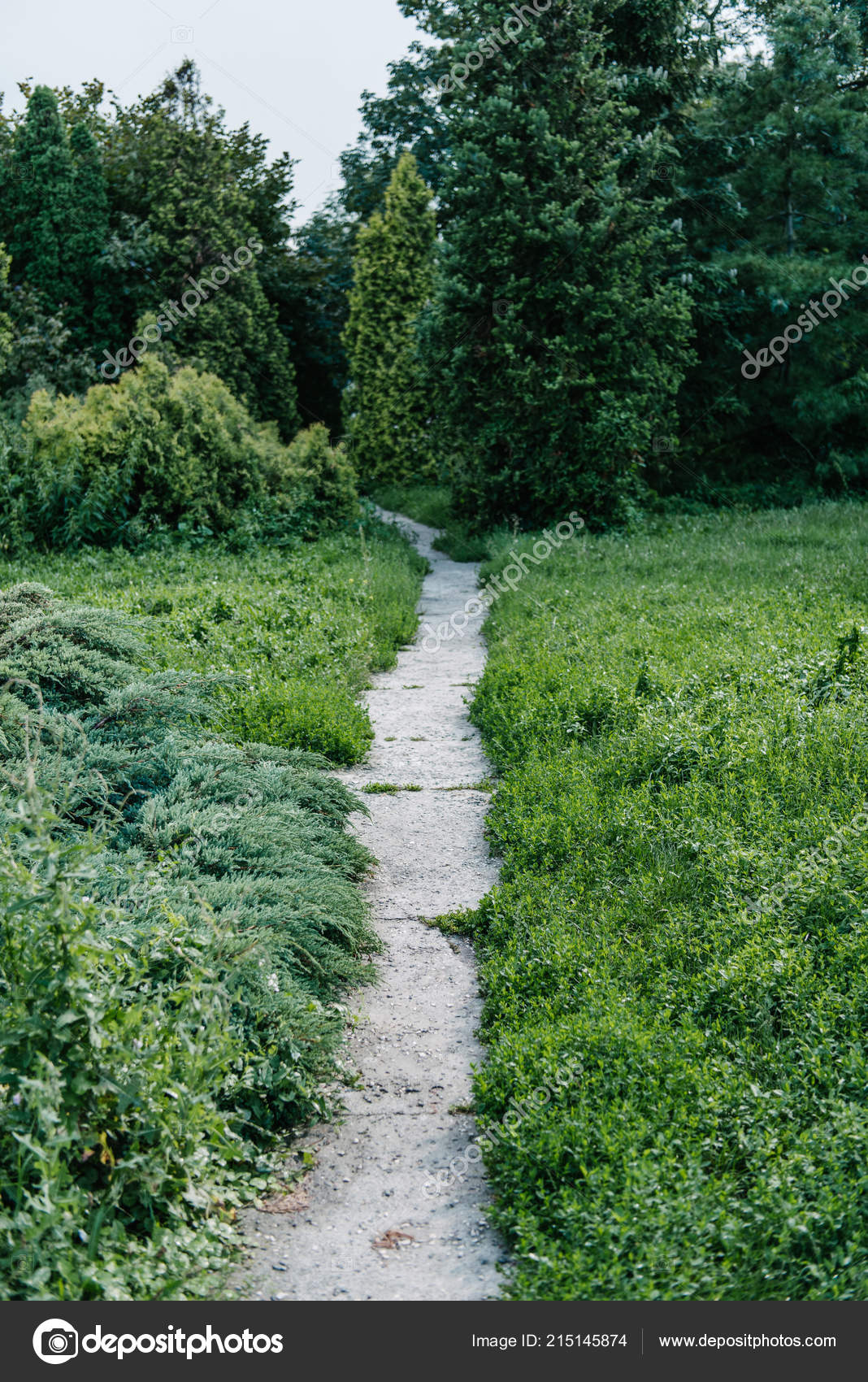 Footpath Various Plants Park — Free Stock Photo © MicEnin #215145874